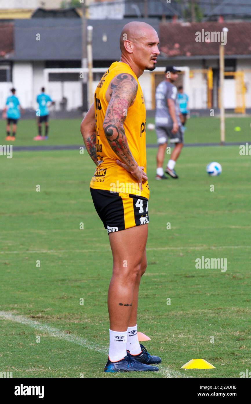 Maicon brazil hi-res stock photography and images - Alamy