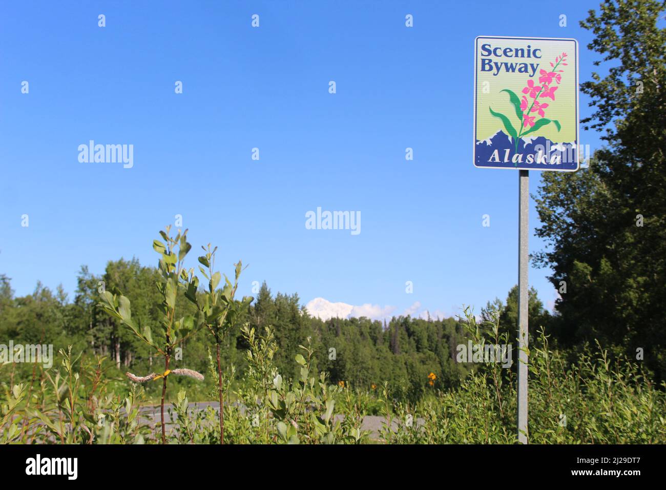 Scenic Byway sign on the Parks Highway at Denali State Park in Alaska ...