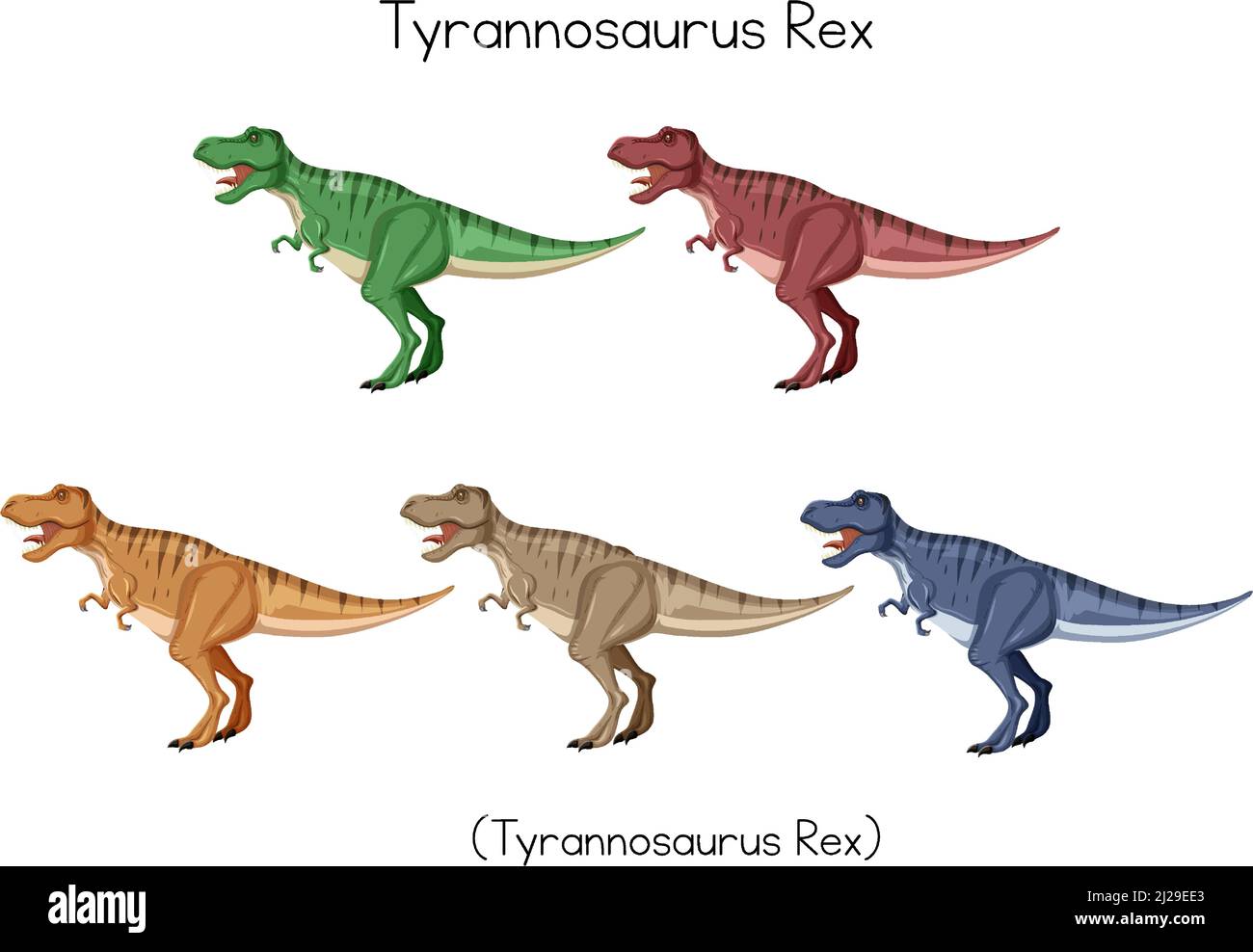 Tyrannosaurus Rex in five colors illustration Stock Vector Image & Art ...