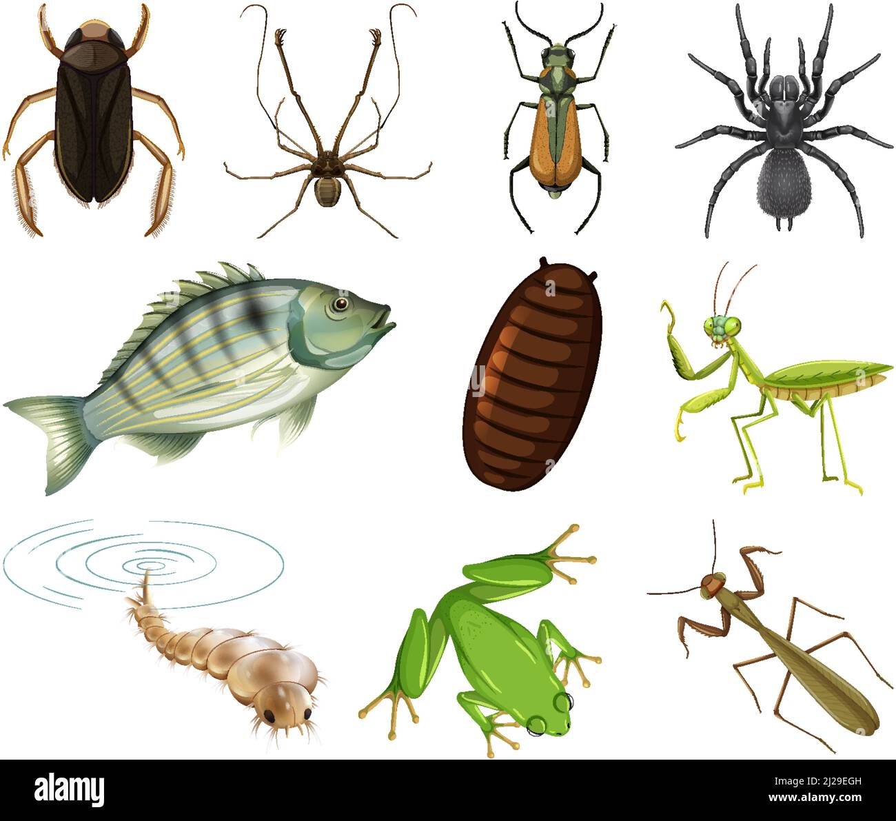 Different kinds of insects and animals on white background illustration ...