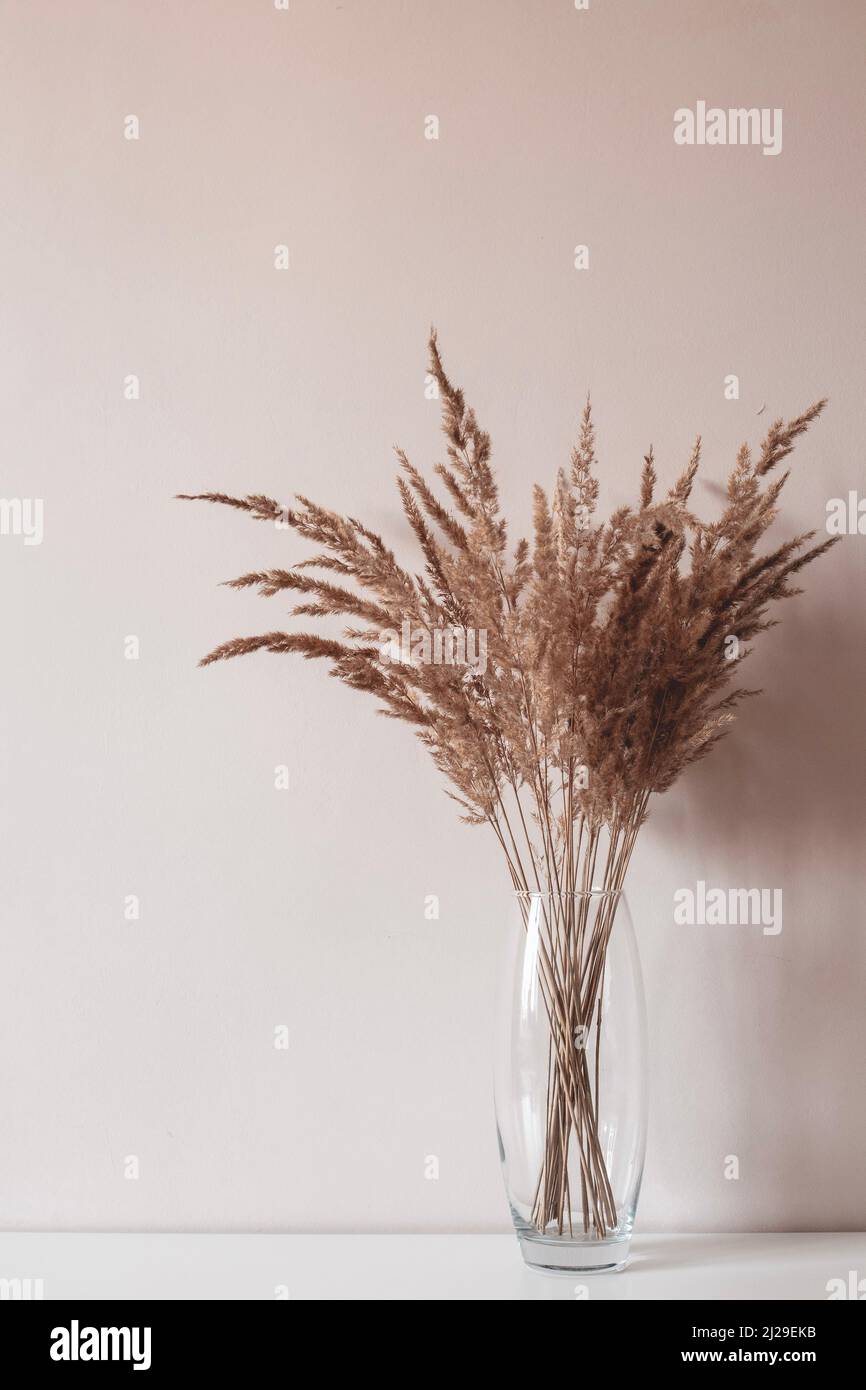 Reeds bouquet hi-res stock photography and images - Alamy