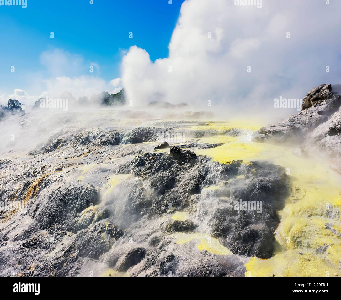 Te puia whakarewarewa geothermal valley hi-res stock photography and ...