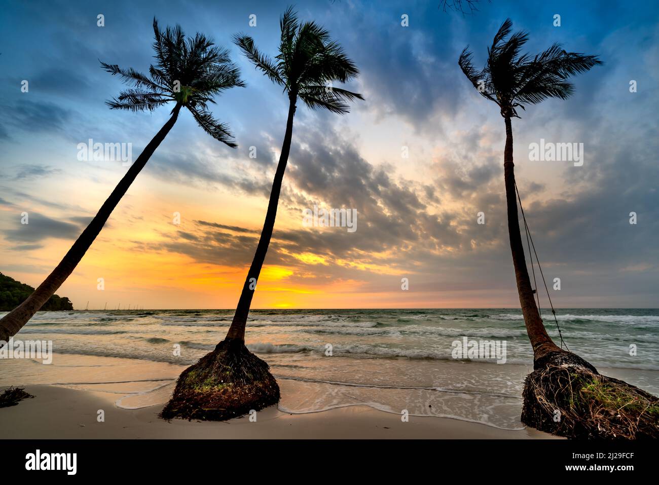 Phu Quoc, Vietnam-Dawn on a deserted beach with beautiful leaning ...