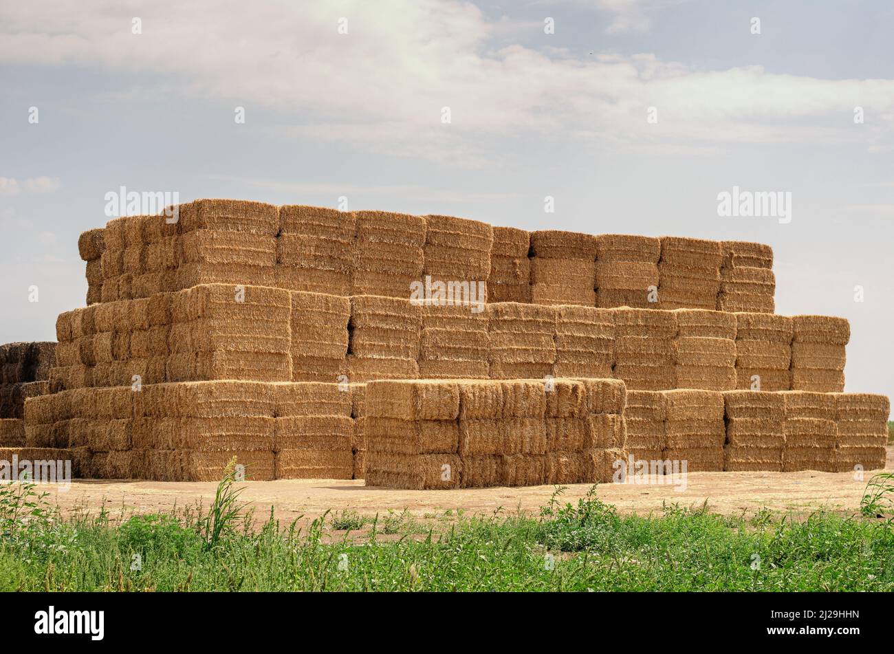 Stack of rectangular bales of dry straw under the October sky. Farmer's ...