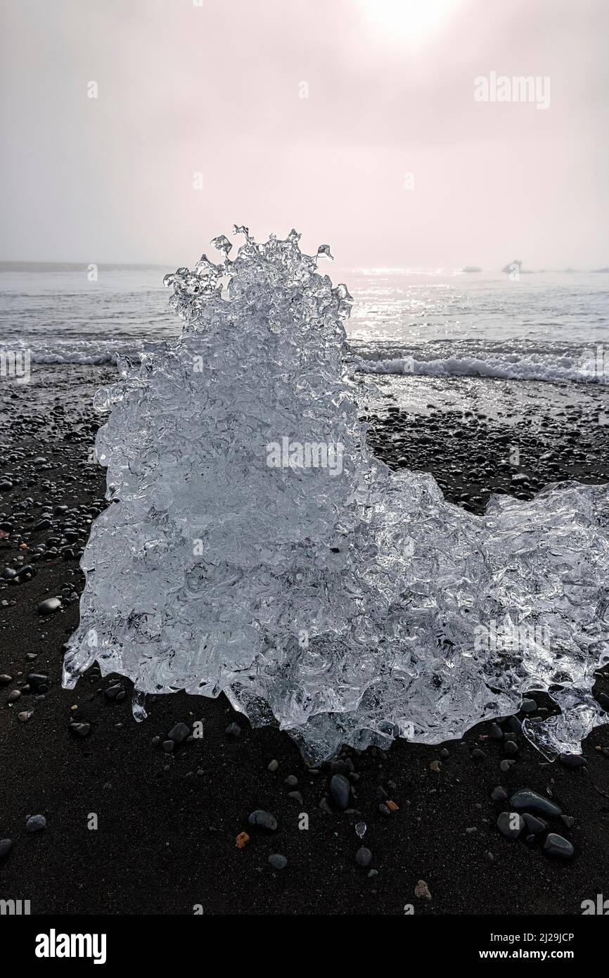 Melted iceberg, ice crystal on black lava beach, illuminated by morning ...