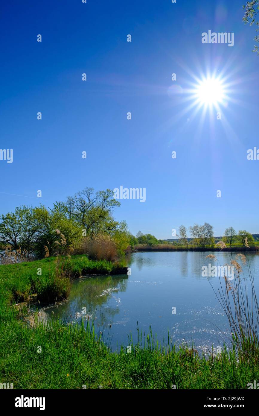 Large gate pond at Neuhaus moated castle, Adelsdorf near Erlangen ...