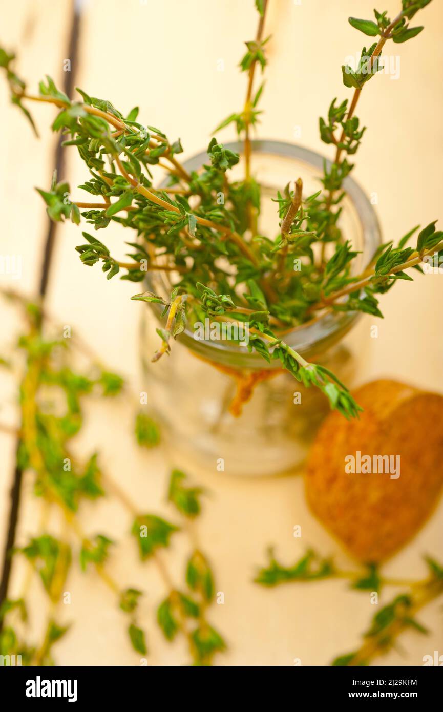 Fresh thyme on a glass jar over a white wood rustic table Stock Photo ...
