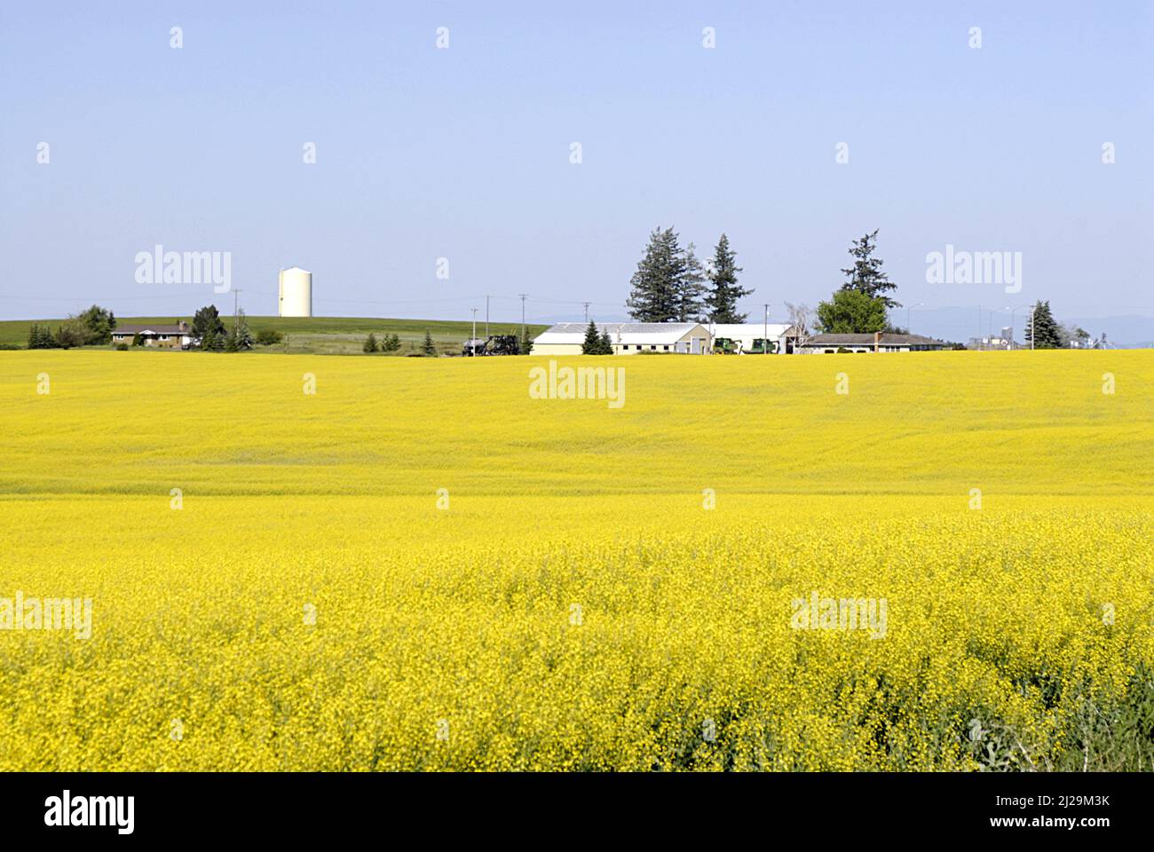 CRAIGMONT / IDAHO STATE/ USA Ruler America and raps fileds . 15 July ...