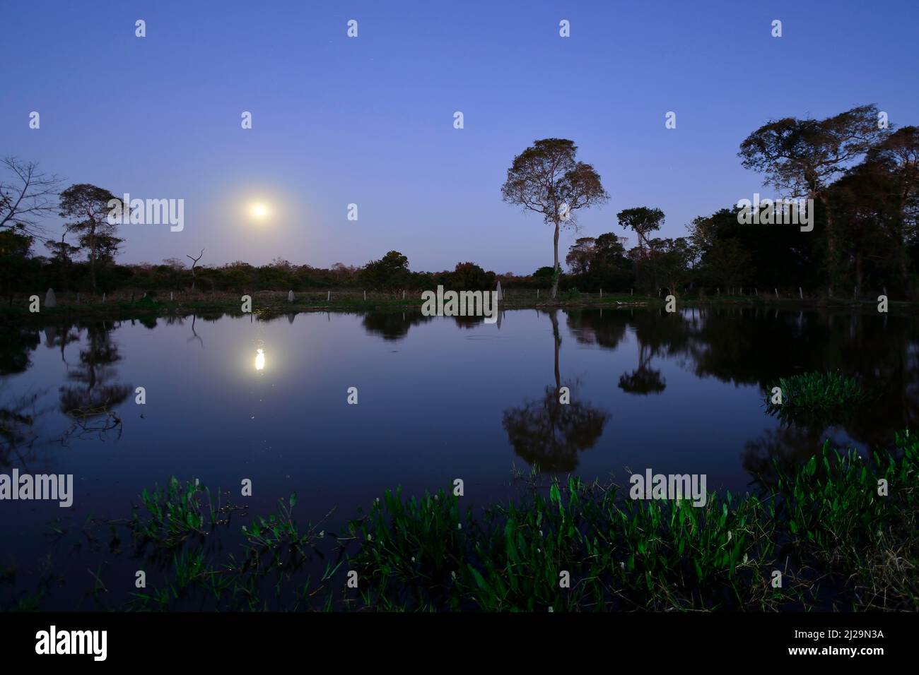 Pond moonlight hi-res stock photography and images - Alamy