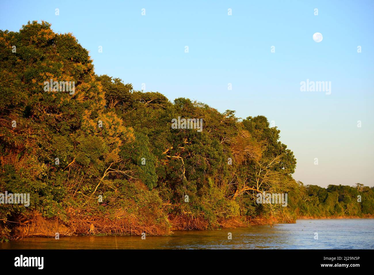 Sinking moon over the banks of the Rio Sao Lourenco, Pantanal, Mato ...