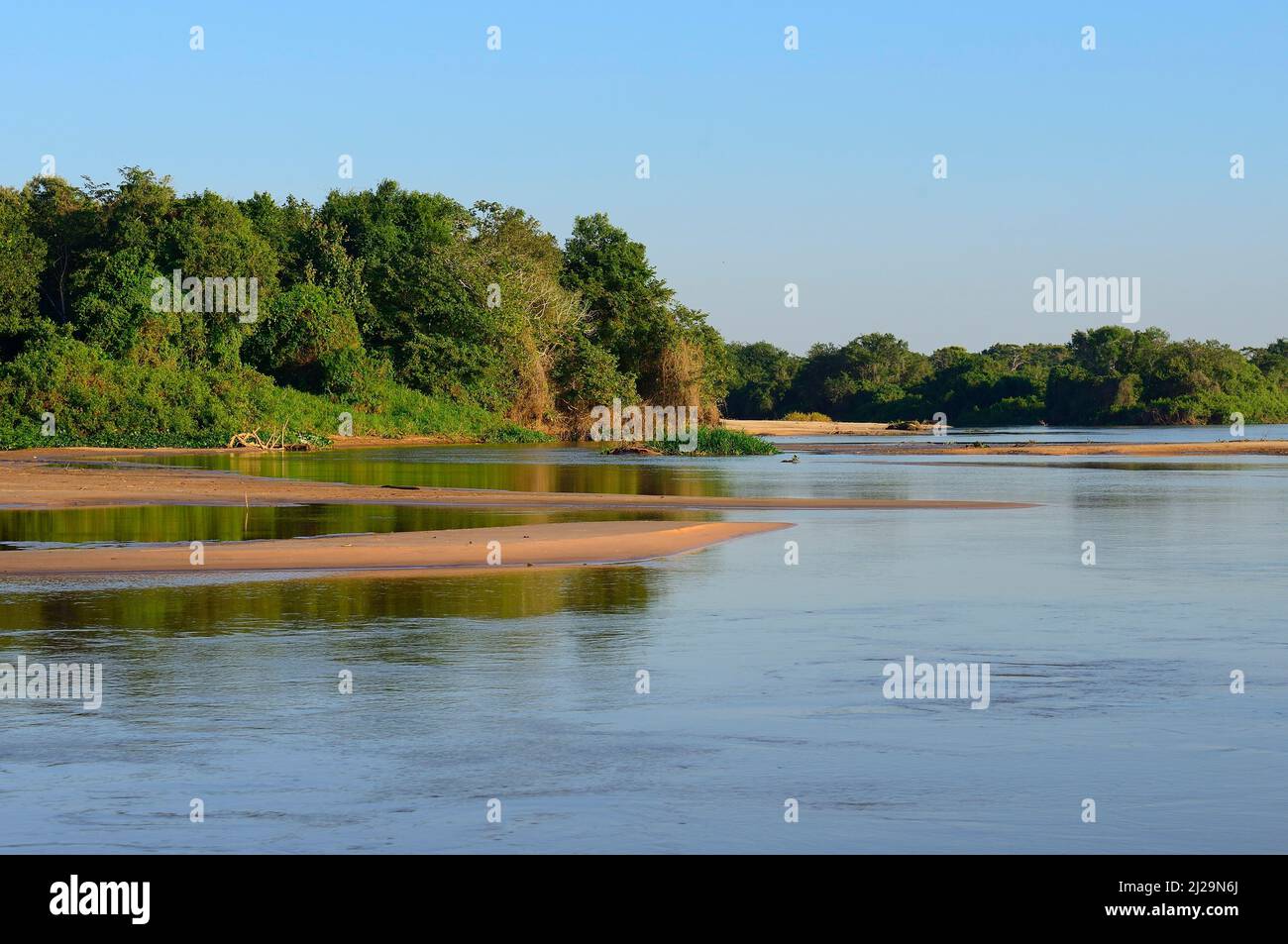 Landscape With Sandbanks On The Banks Of The Rio Sao Lourenco Pantanal Mato Grosso Brazil