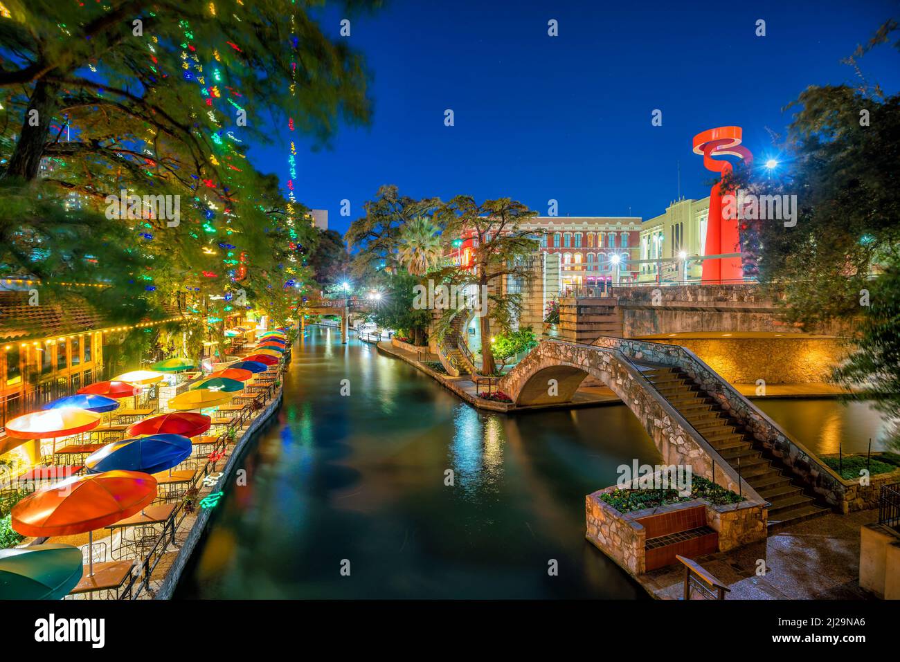 Texas umbrella tree hi-res stock photography and images - Alamy