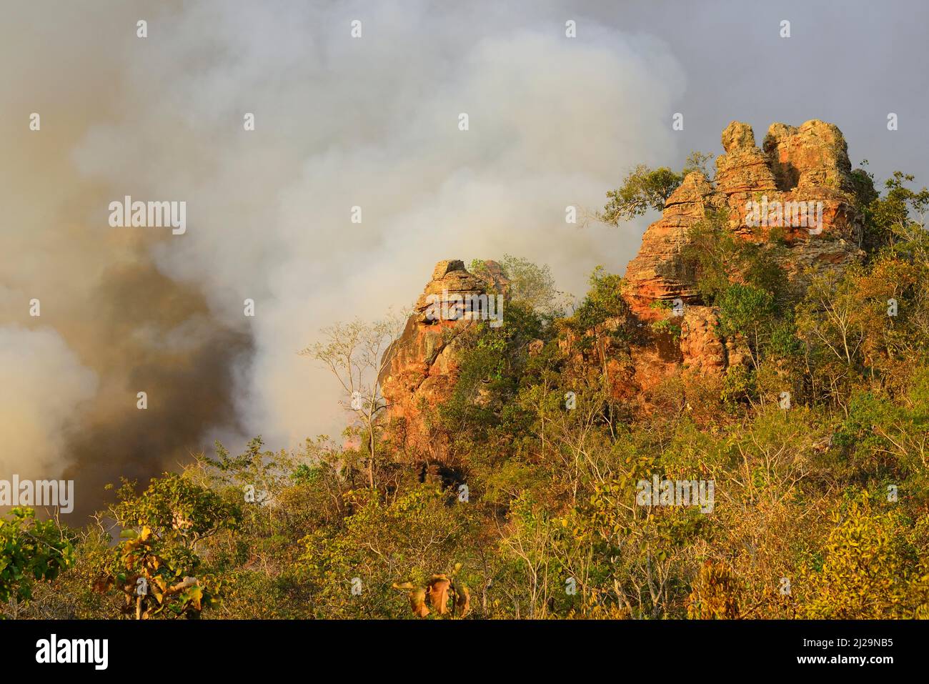 Bizarre rock formation at a bushfire in the national park, NP Chapada ...