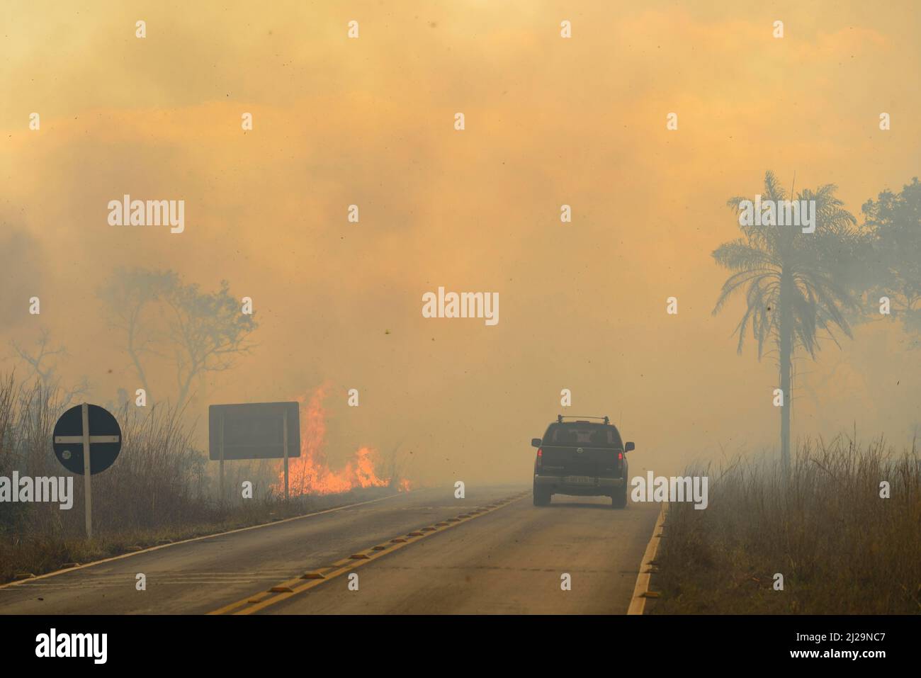 Bushfire on the main road 251 through the national park, NP Chapada dos ...