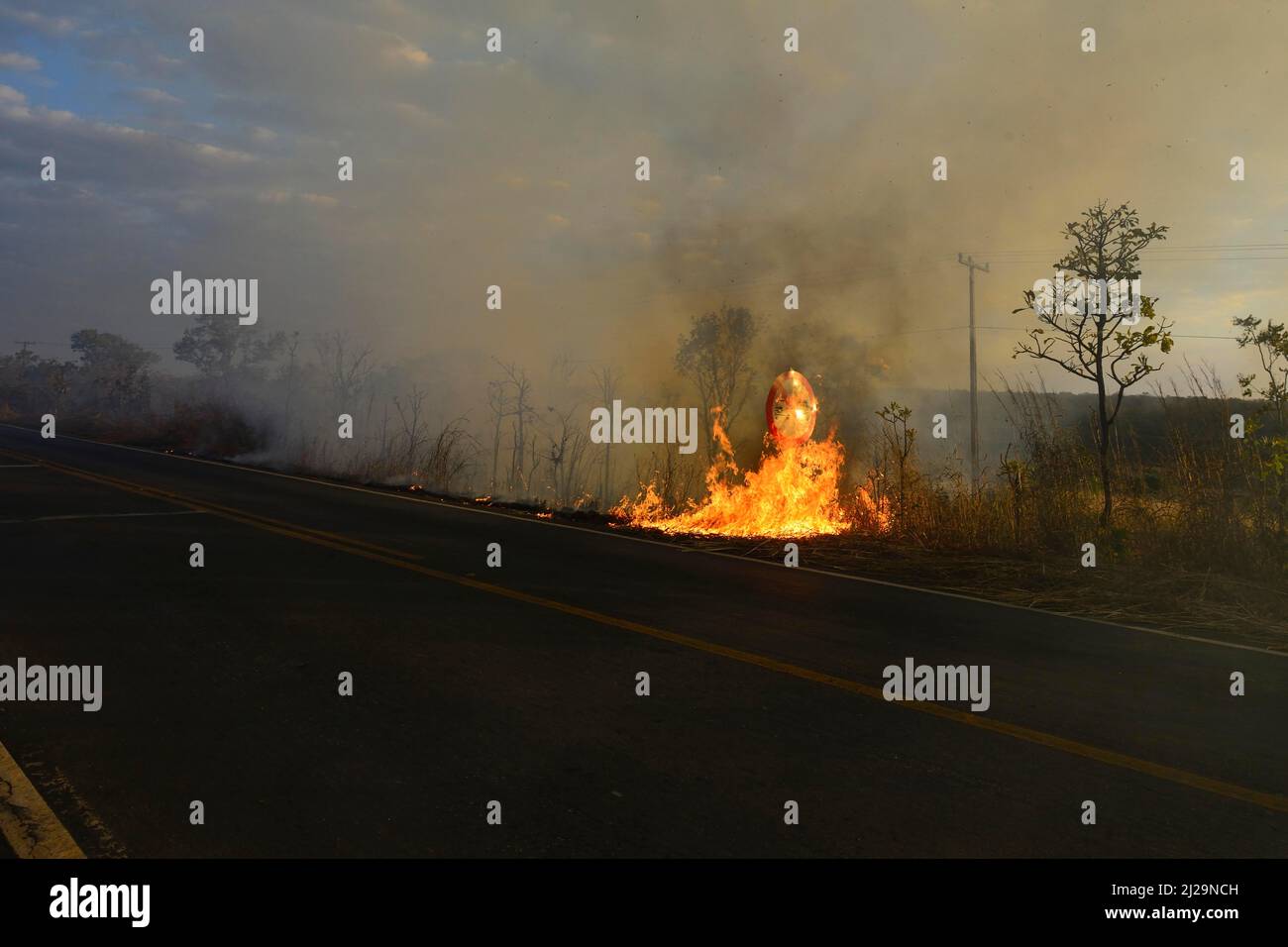 Burning road sign in a bushfire on the main road 251, NP Chapada dos ...