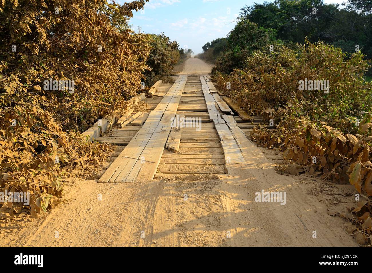 Dusty swamp hi-res stock photography and images - Alamy
