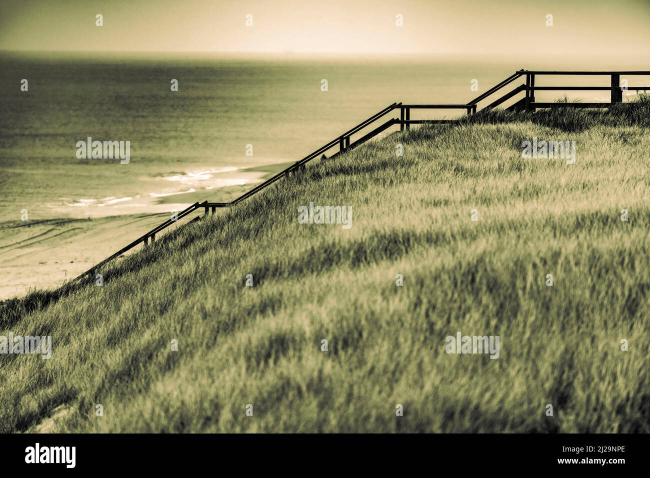 Footbridge with walker in dune landscape, Rantum, Sylt Island, Germany ...