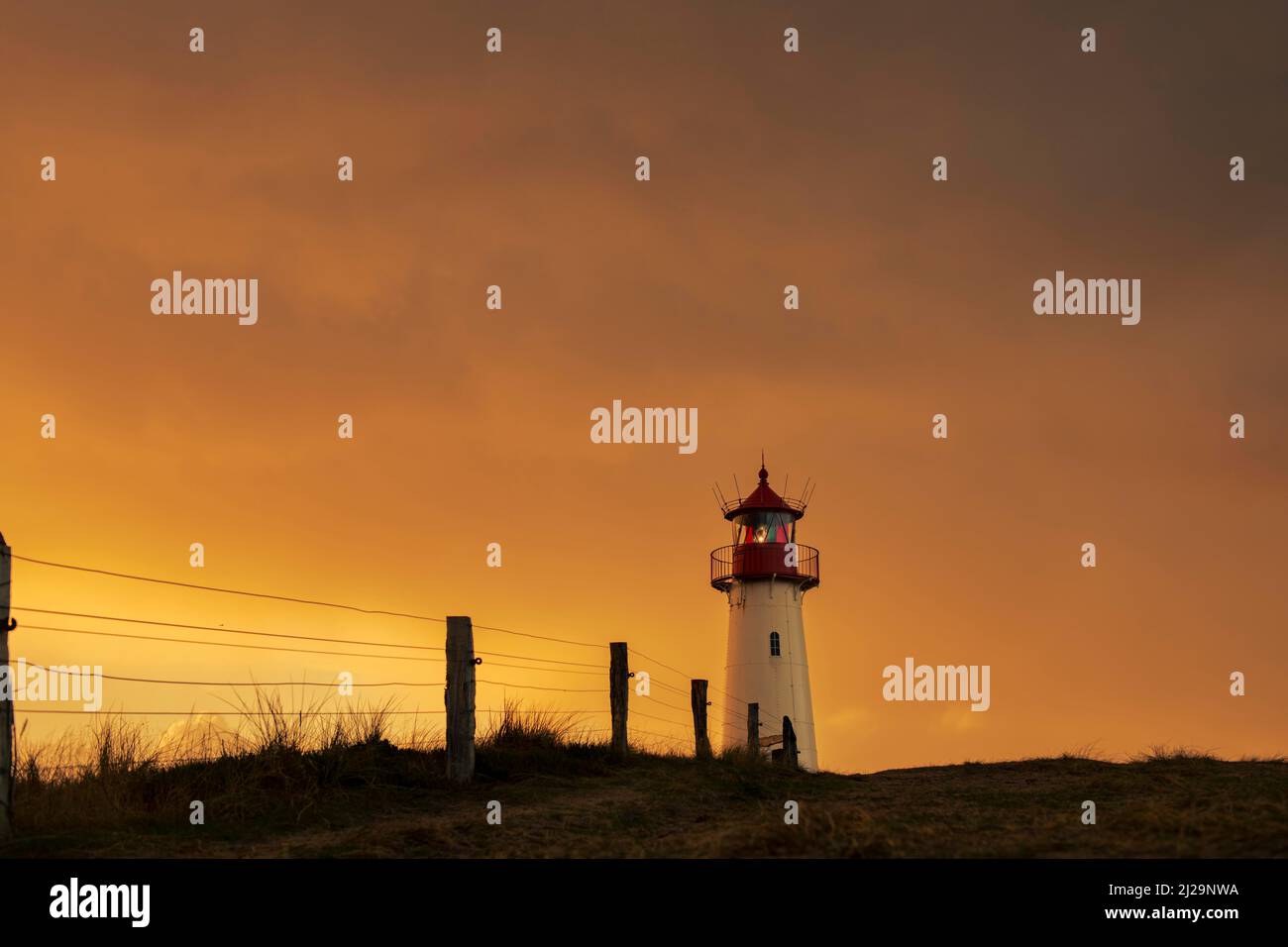 List-ost lighthouse, in dune landscape at golden hour, Ellenbogen, List ...