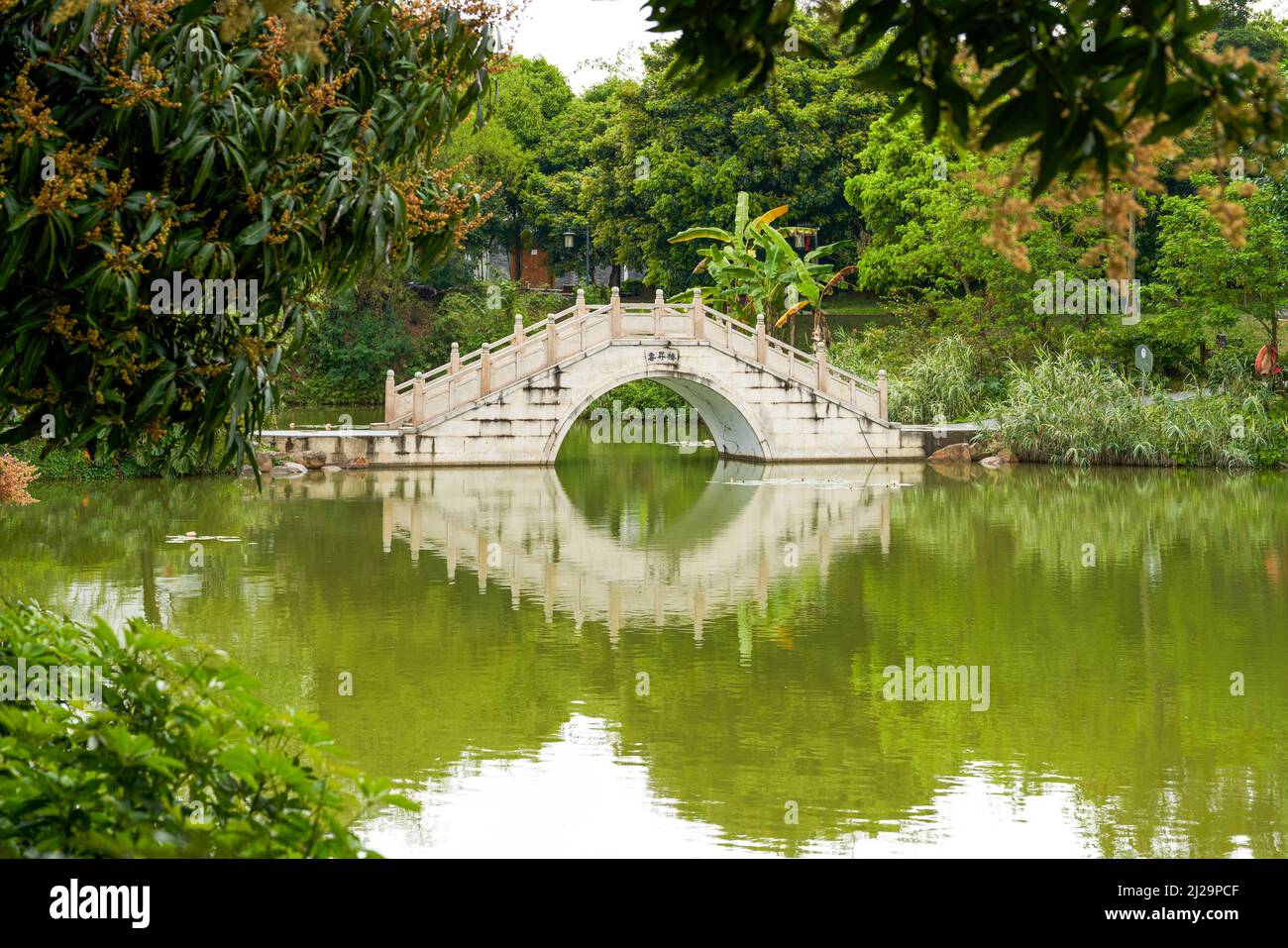 Purple bamboo park moon gate hi-res stock photography and images - Alamy