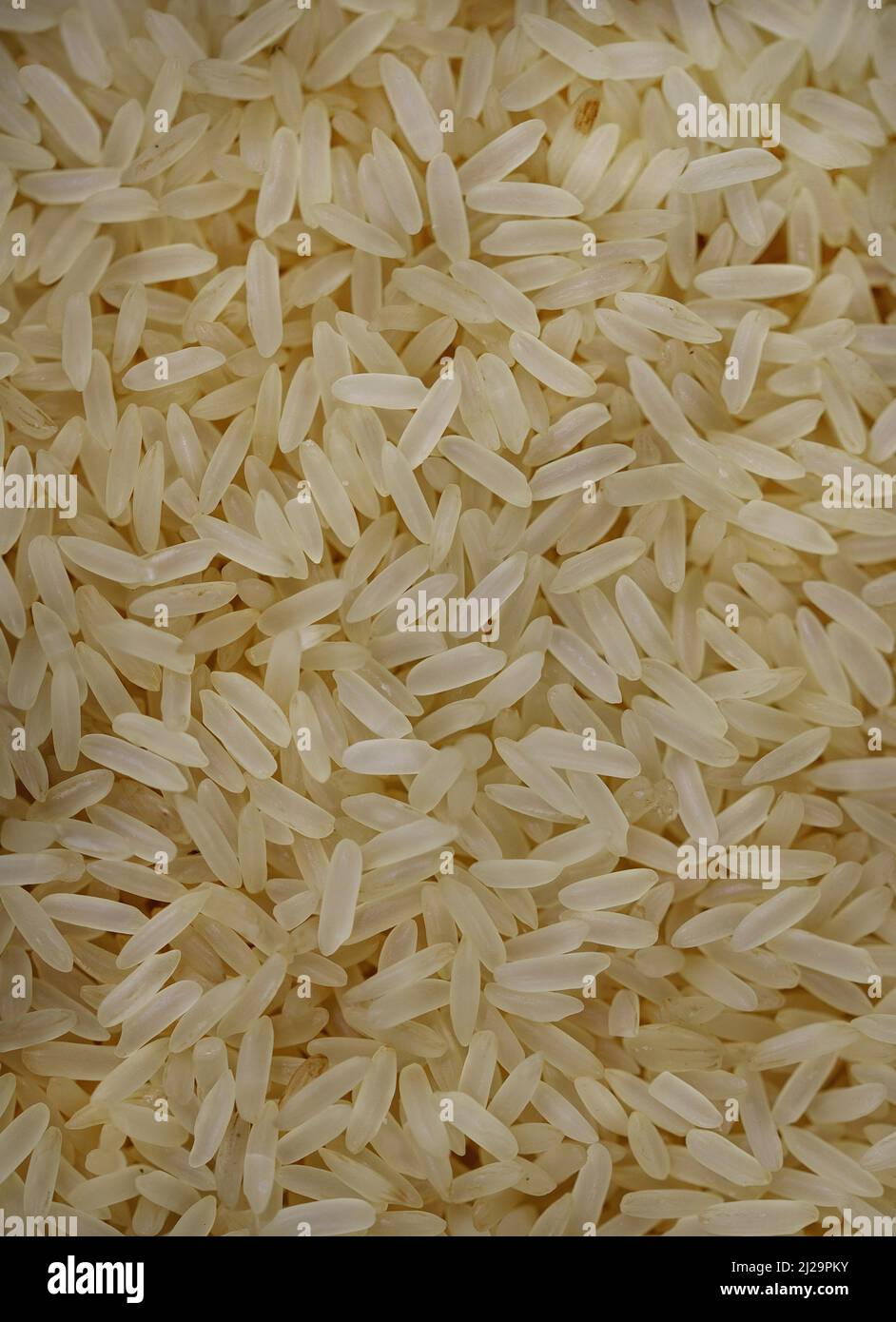 Rice close up Stock Photo - Alamy