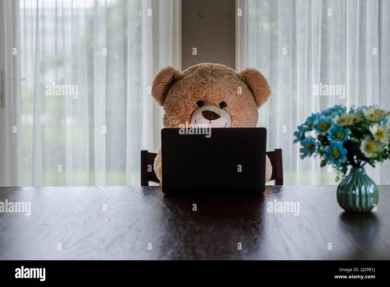 Teddy bear working on the computer in the living room Stock Photo - Alamy