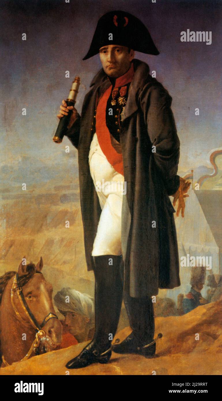 Napoleon 1814, painting by Jacques-Louis David Stock Photo - Alamy