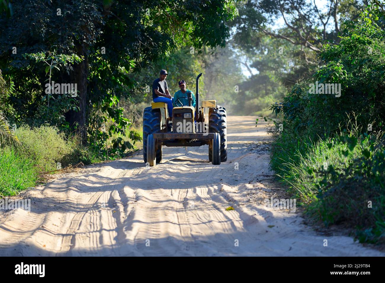 Tractor driving on sand road, Porto Jofre, Pantanal, Mato Grosso ...