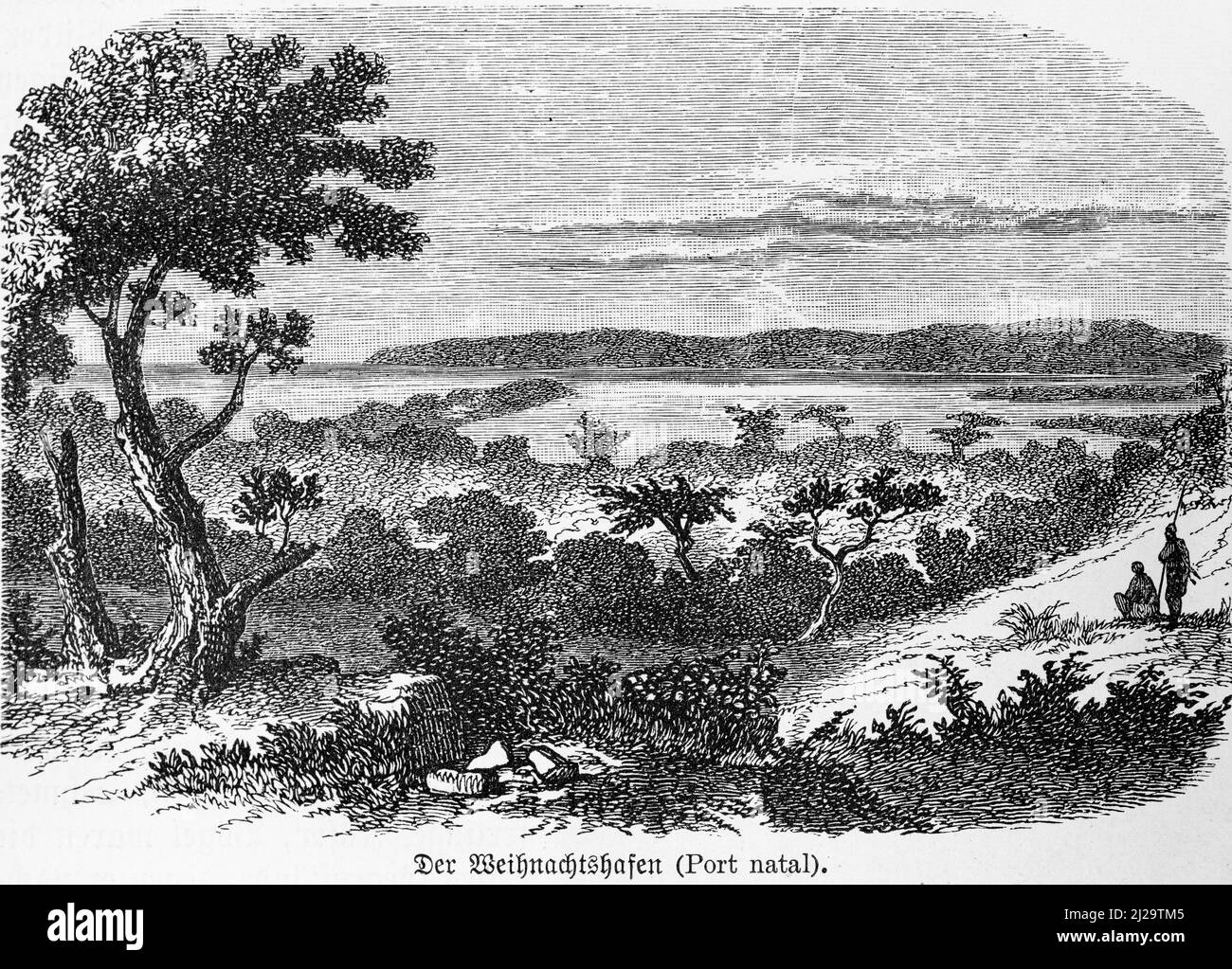 Port Natal, today Durban, Indian Ocean, landscape, trees, historical ...