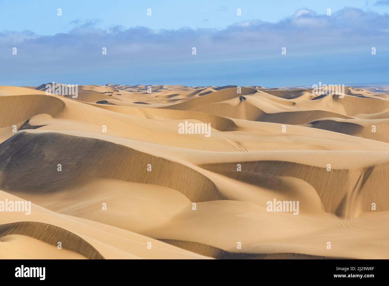 Namibia, the Namib desert, graphic landscape of yellow dunes Stock ...