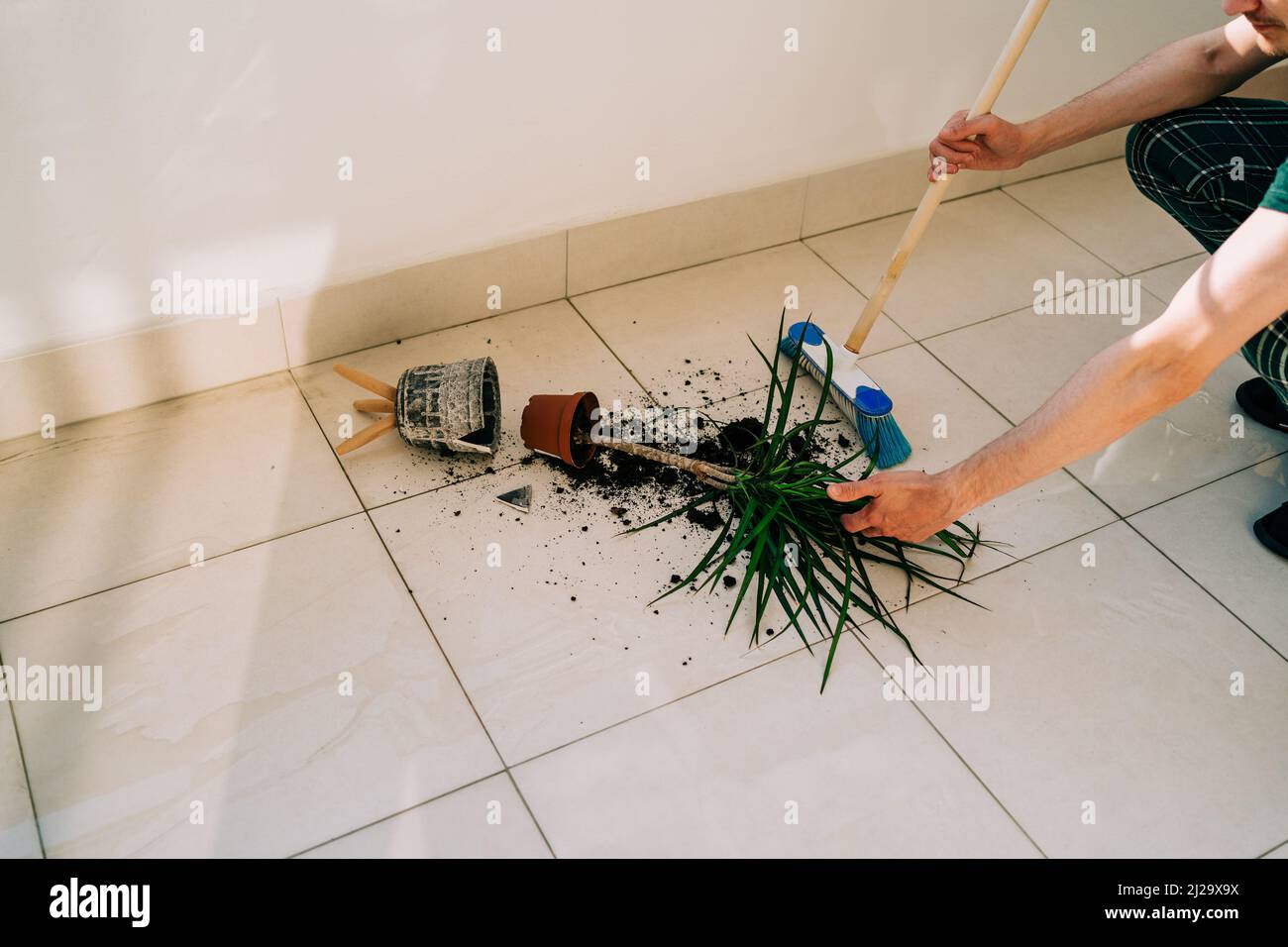Broken flower pot on the floor with spilled soil and damaged plant ...