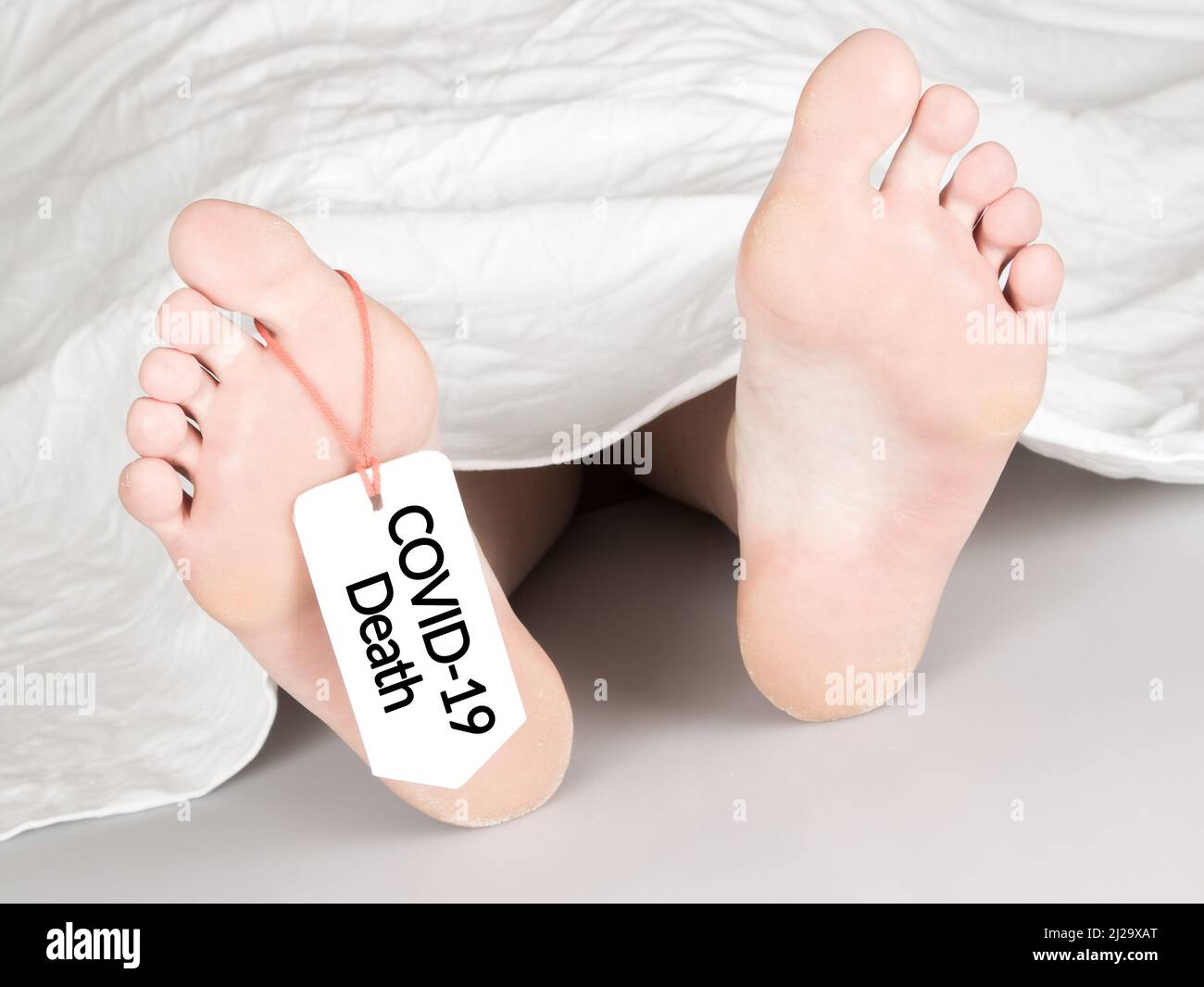 Body with toe tag on white, under a white sheet - Covid-19 death Stock ...