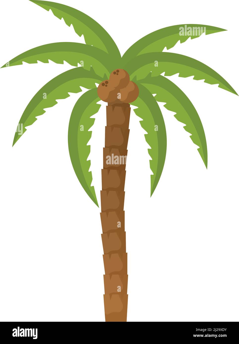 coconut palm design Stock Vector Image & Art - Alamy