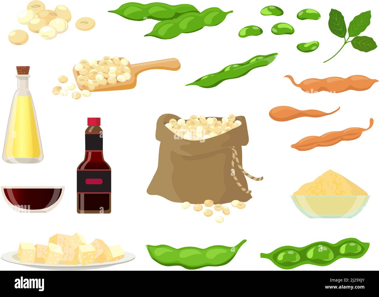Cartoon soy product, oil, milk, miso, tofu and sauce. Dry soya beans in ...