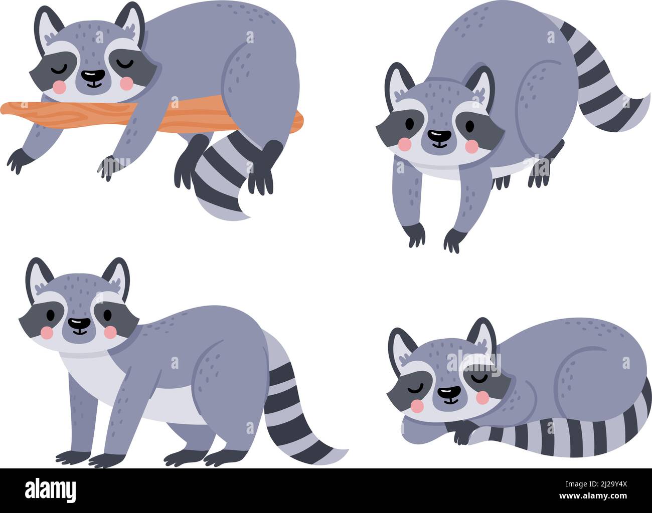 Cute cartoon baby raccoon, animal sleep and rest Stock Vector Image ...