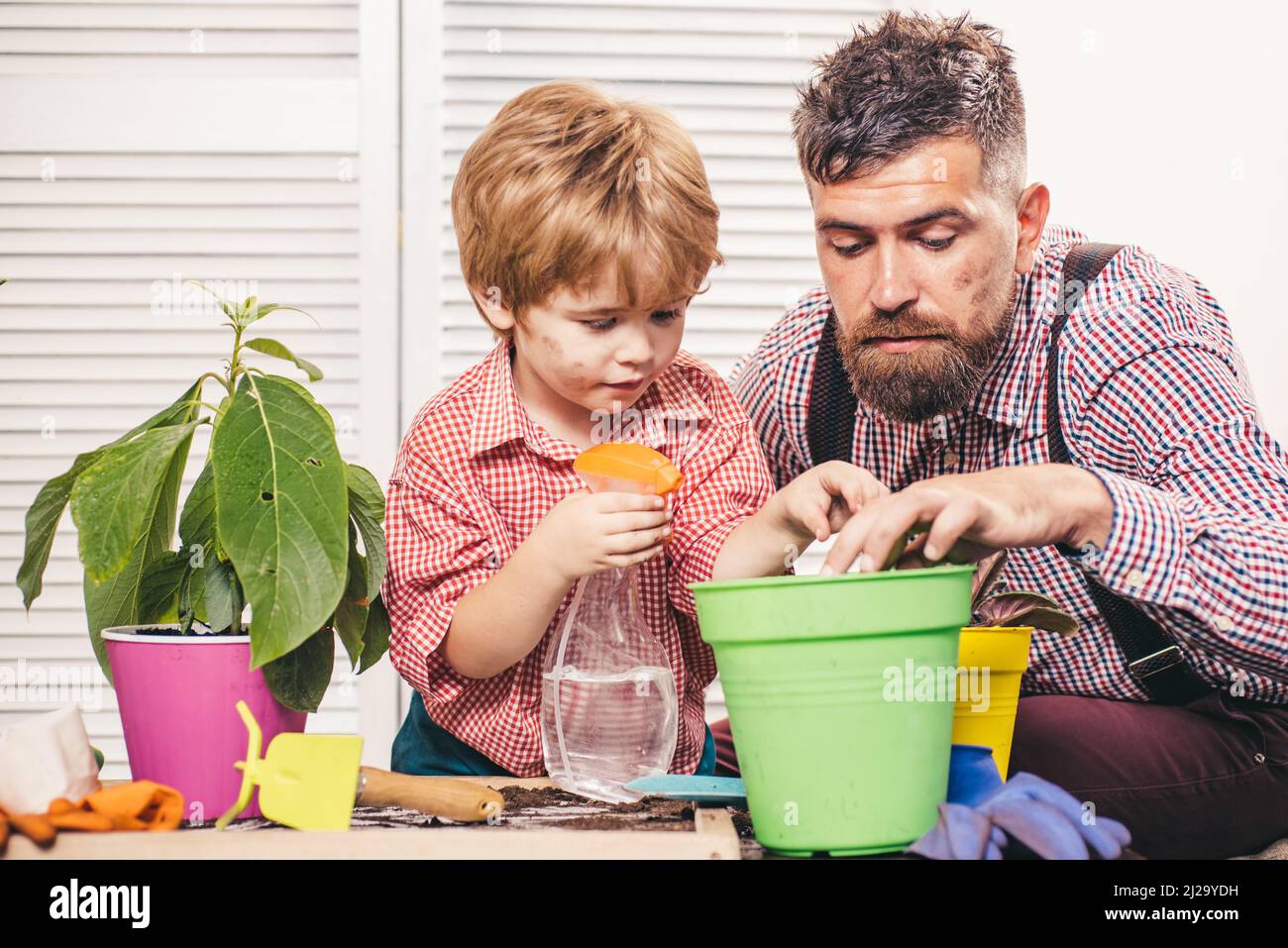 Child son with father growing plant in pot. Family holiday and ...