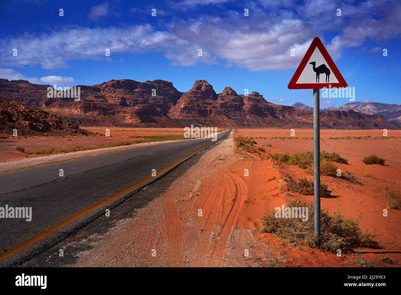 Jordan Travel. Traffic road sign with camel near the asphalt road. Wadi ...