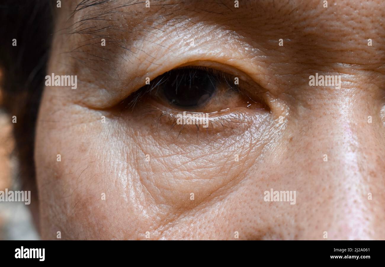 Asian eye male fat hi-res stock photography and images - Alamy
