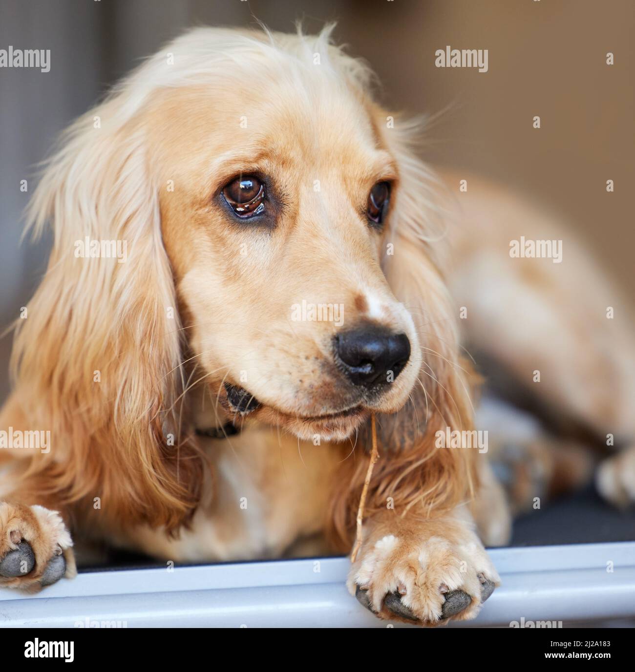 Every snack you make, every bite you take, ill be watching you ...