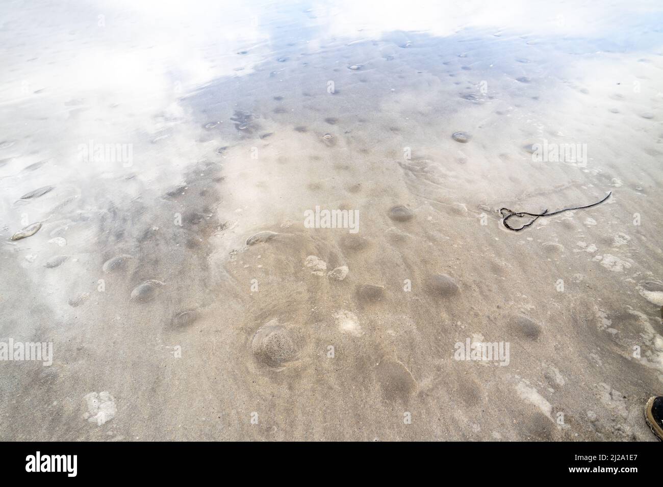 Bubbles in the sand showing that the tide is coming in Stock Photo - Alamy