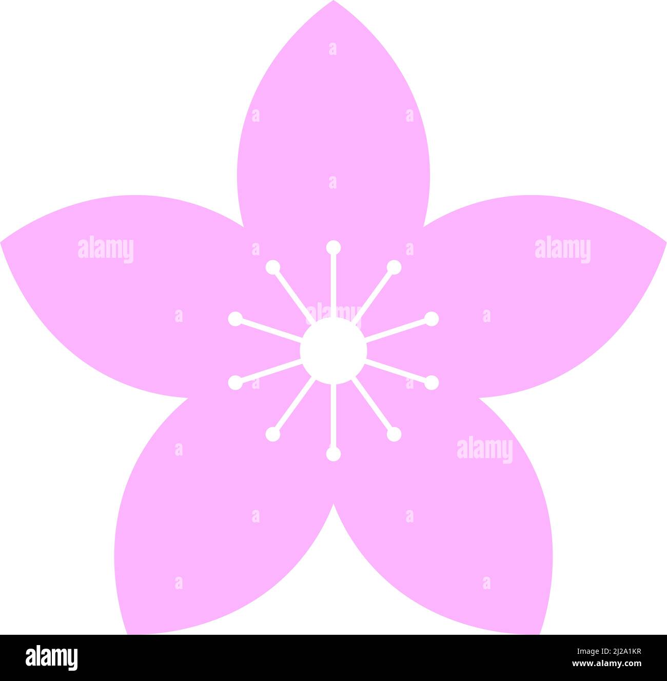 Pink cherry blossoms. Flowers that bloom in the spring season. Editable ...