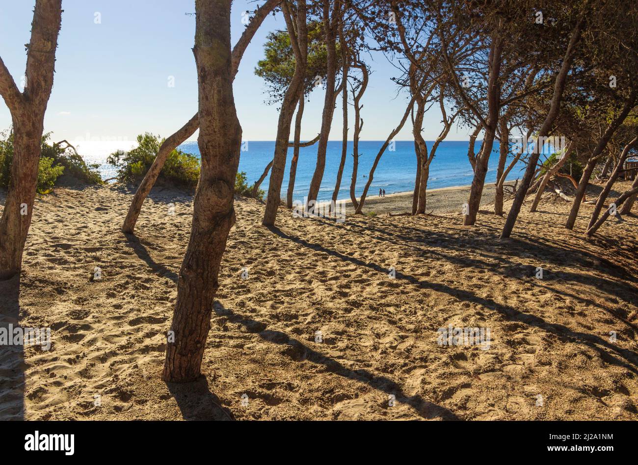 The most beautiful sandy beaches of Apulia in Italy: Alimini Beach in ...