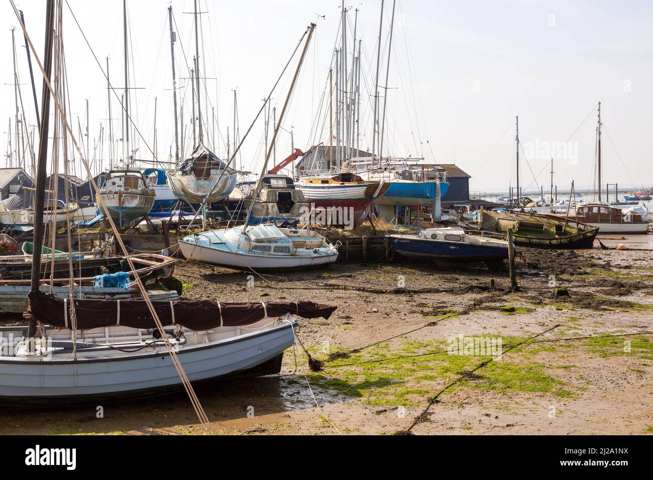 Boats in boatyard at low tide, River Blackwater estuary, West Mersea ...