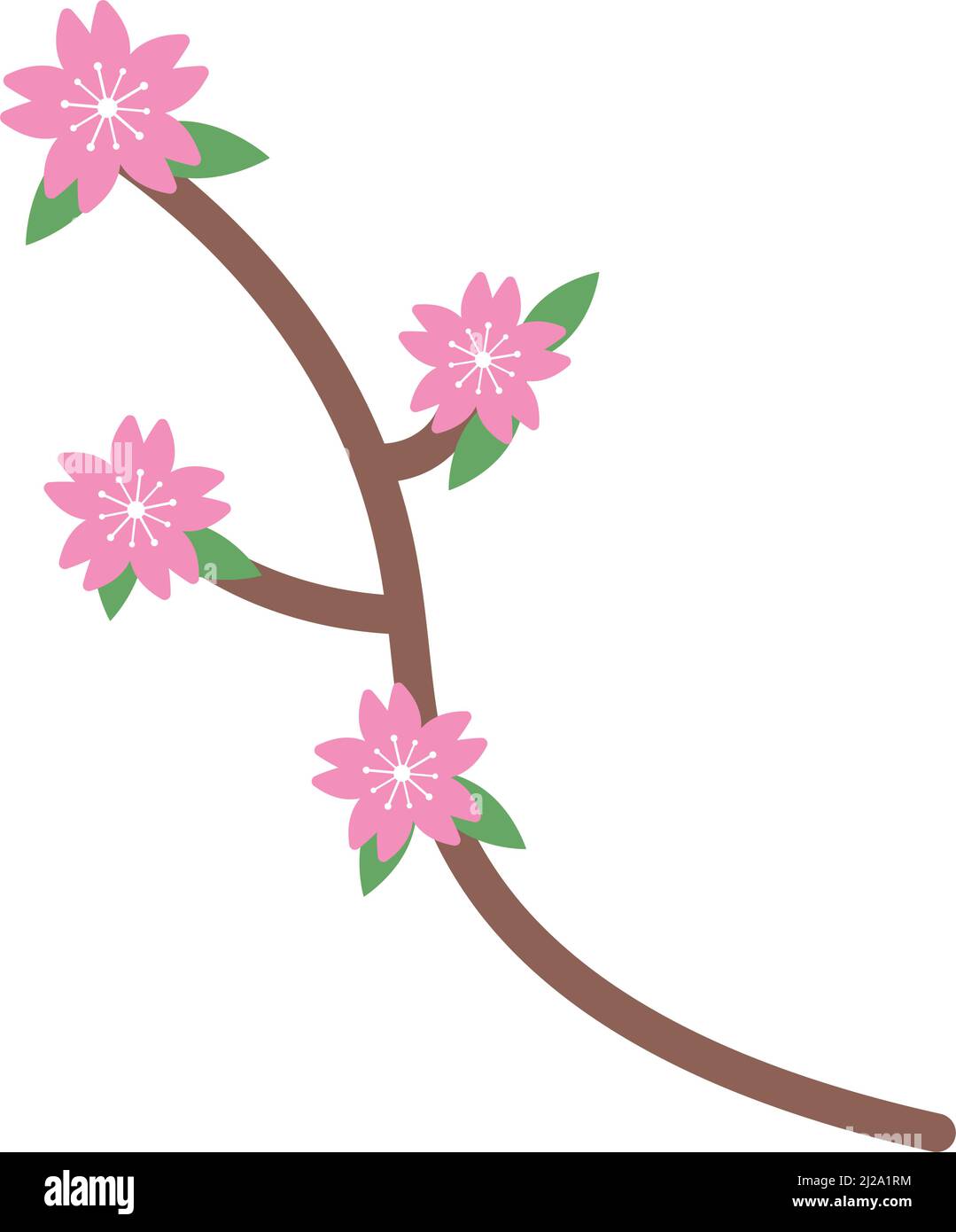 Cherry blossoms and branches. Editable vector Stock Vector Image & Art ...