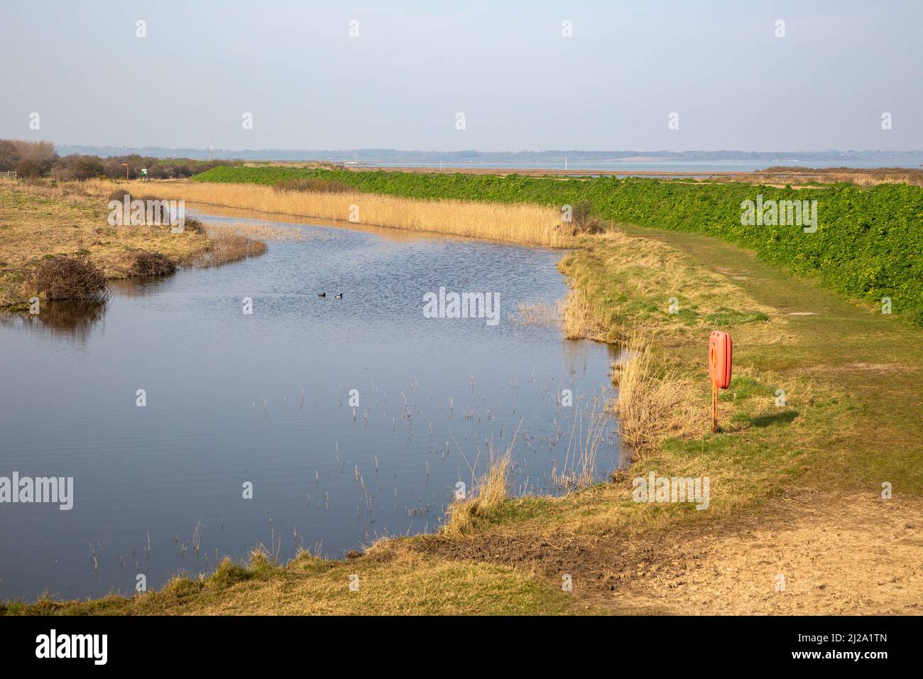 Coastal landscape, River Colne, East Mersea Flats, Mersea Island, Essex ...