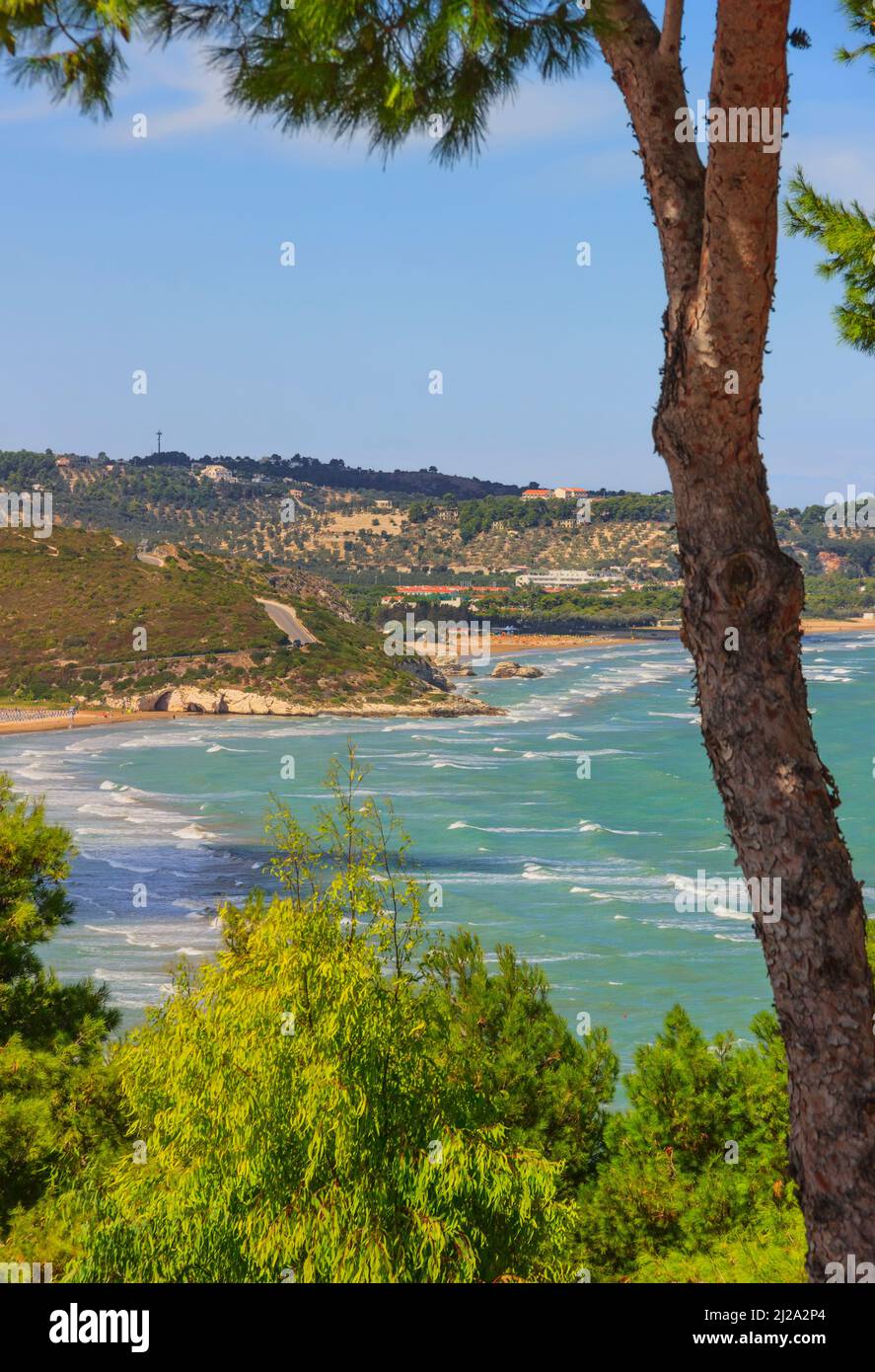 Summertime relax.The most beautiful coasts of Italy: bay of Vieste in ...