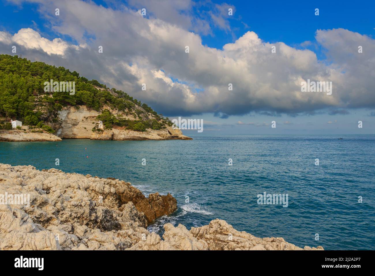 Apula coast,Gargano National Park in Italy: Pungnochiuso beach. The bay ...