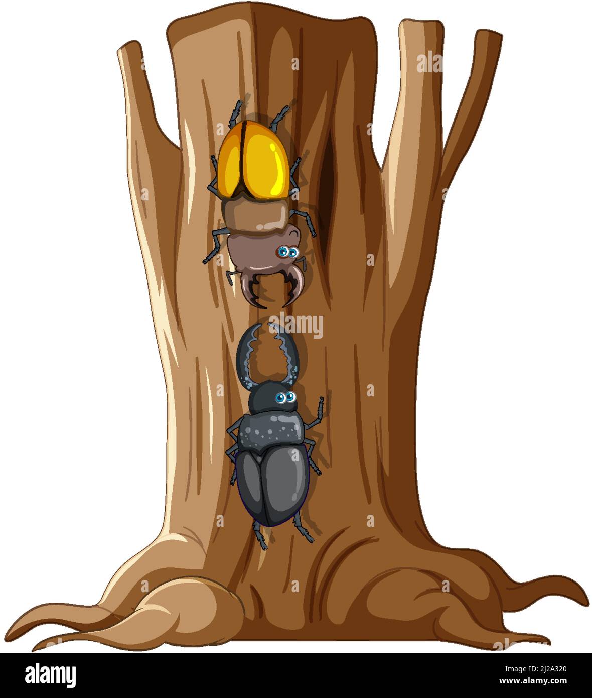 Beetle fighting on a tree illustration Stock Vector Image & Art - Alamy
