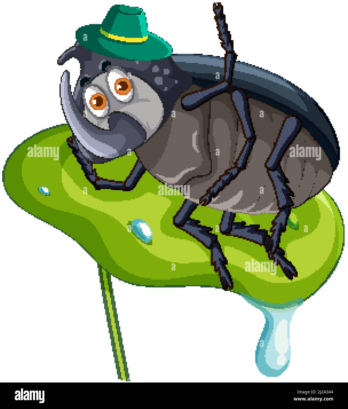 A beetle cartoon character isolated illustration Stock Vector Image ...