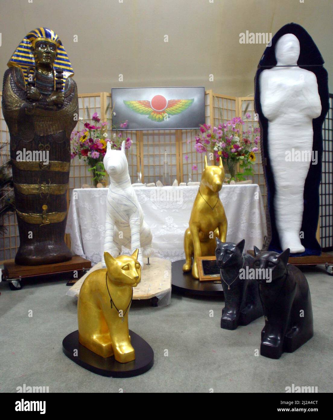 Mummified pet hi-res stock photography and images - Alamy