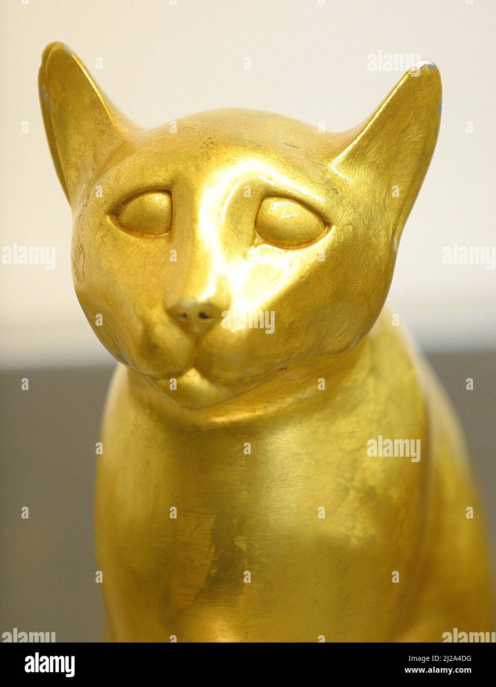 GOLD PLATED BRONZE CASKET AWAITING MUMMIFIED CAT. 15,OOO PEOPLE WORLD ...